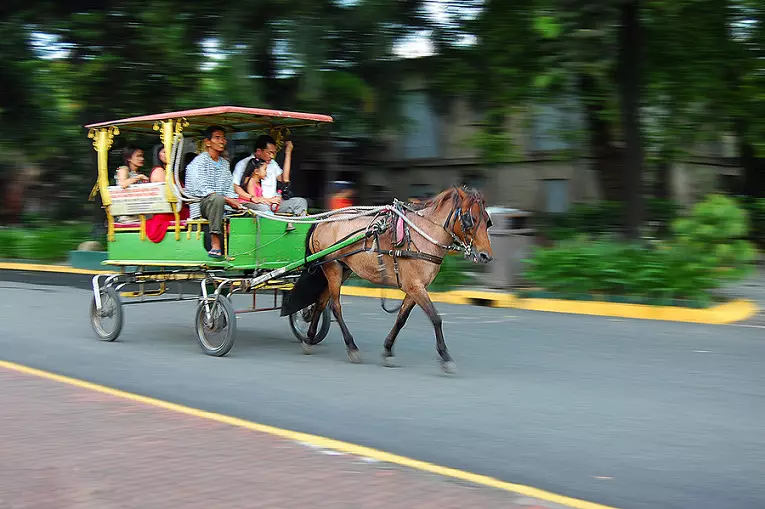 馬尼拉的假期：馬尼拉的旅遊指南 - 旅行 232789_4