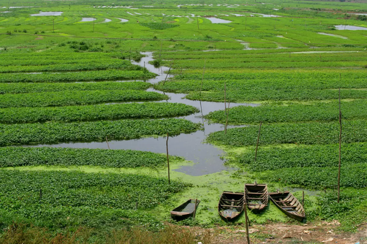 फ्नॉम पेन, कंबोडिया, आशिया