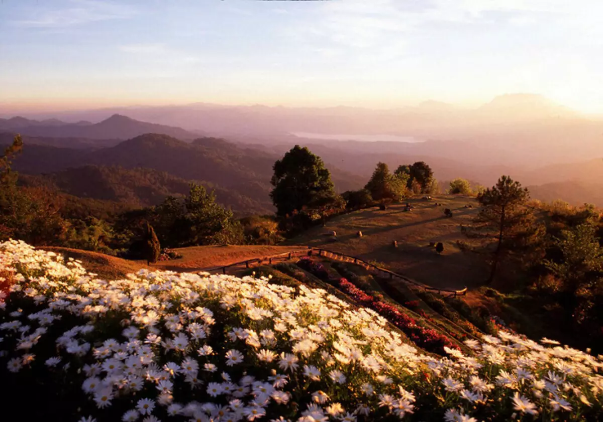 Chiang Mayda dam oling: Chiang mai qo'llanma - sayohat