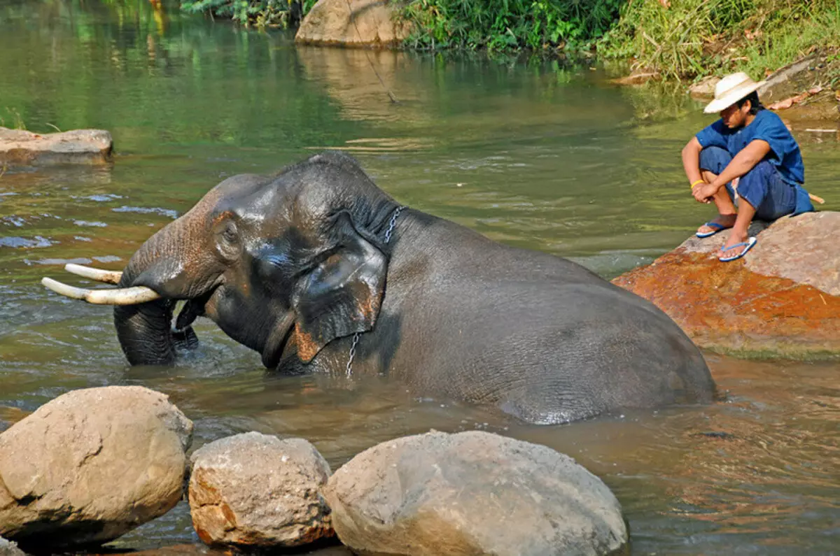 Chiang Mai, Tailandia, Asia