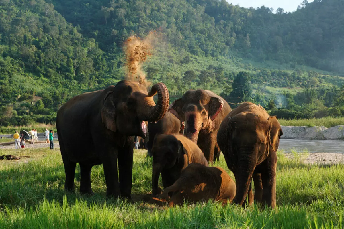 Tailandia, Asia