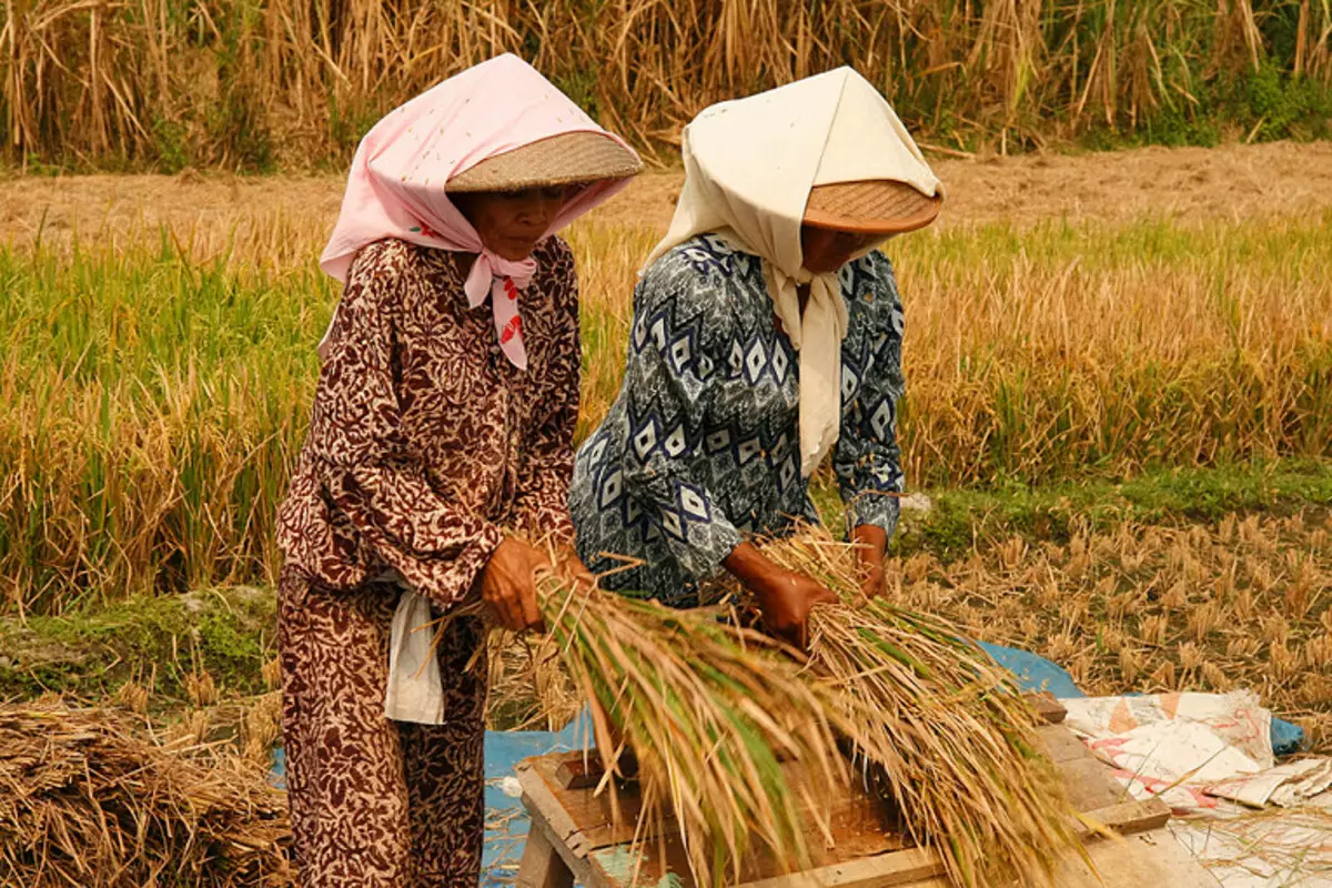 Jokyakarta, Java, Indonēzija, Āzija