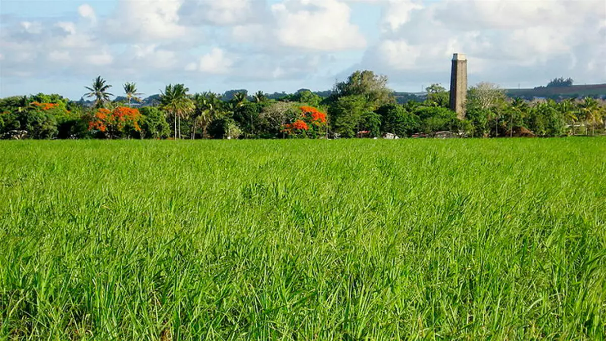 Le domain de pai, dekeda Louis, Mauritius, Afrika