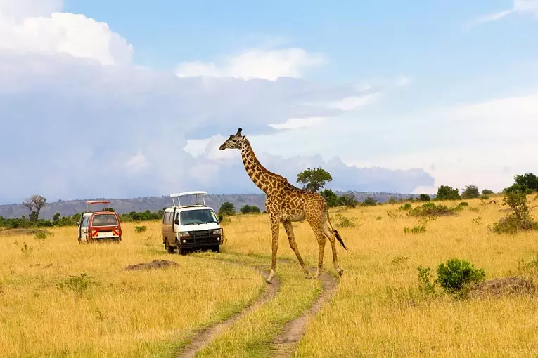 Masai Mara národní park, Mombasa, Keňa, Afrika