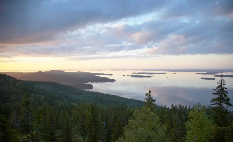 Apžvalga Ukko Kolya, Kolya nacionalinis parkas, Kolya, Šiaurės Karelija, Suomija, Europa