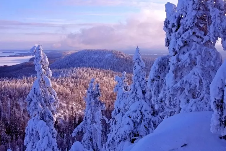 Kolya Parke Nazionala, Kolya, Karelia iparraldea, Finlandia, Europa