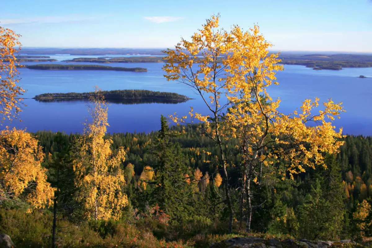 Kolya Parke Nazionala, Kolya, Karelia iparraldea, Finlandia, Europa