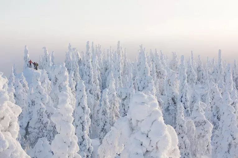 Kolya nacionalinis parkas, Kolya, Šiaurės Karelija, Suomija, Europa