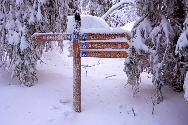 Kolya nacionalinis parkas, Kolya, Šiaurės Karelija, Suomija, Europa