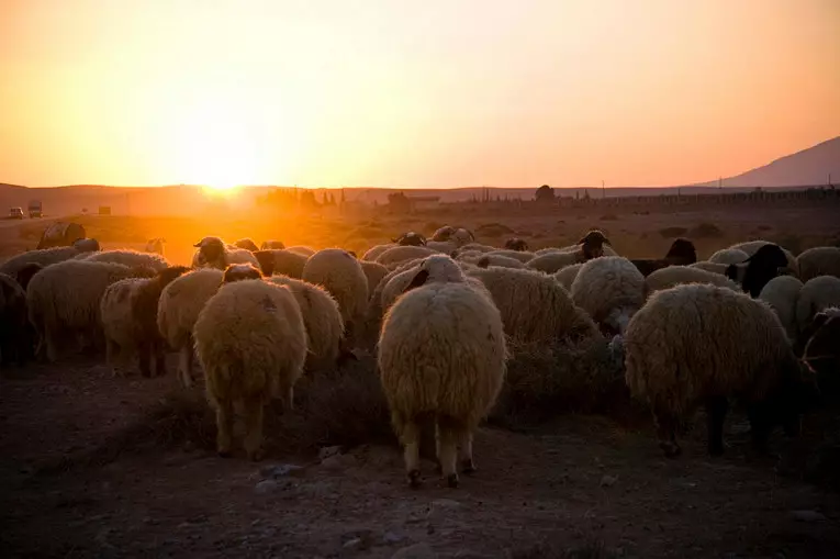 Damasco, Siria, Oriente Medio