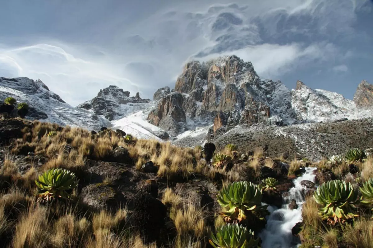 Kenia Mountain Kombëtar Park, Nairobi, Kenia, Afrikë