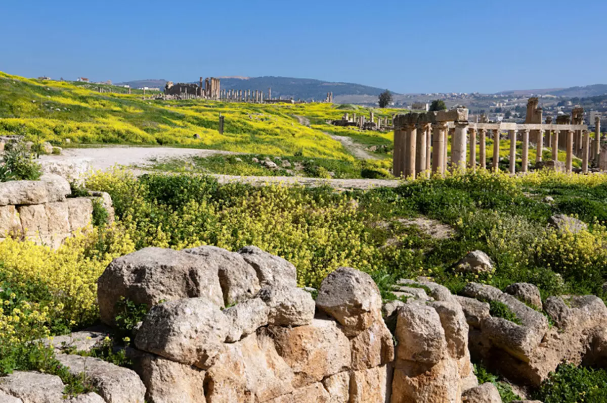 Jerash, Giordania, Medio Oriente