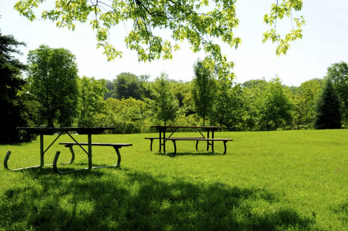 Bosque de San Pedro, Poitiers, Poitu-Charente, Francia, Europa