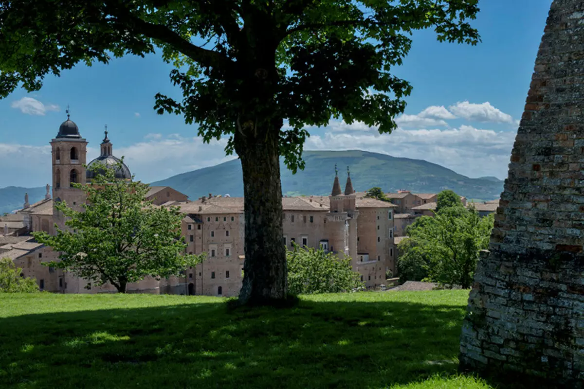 Fekânsje yn Urbino: Urbino Guide - Reizen 232903_4