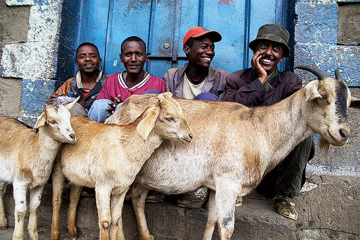 Mercato Market, Addis Ababa, Ethiopia, Africa.