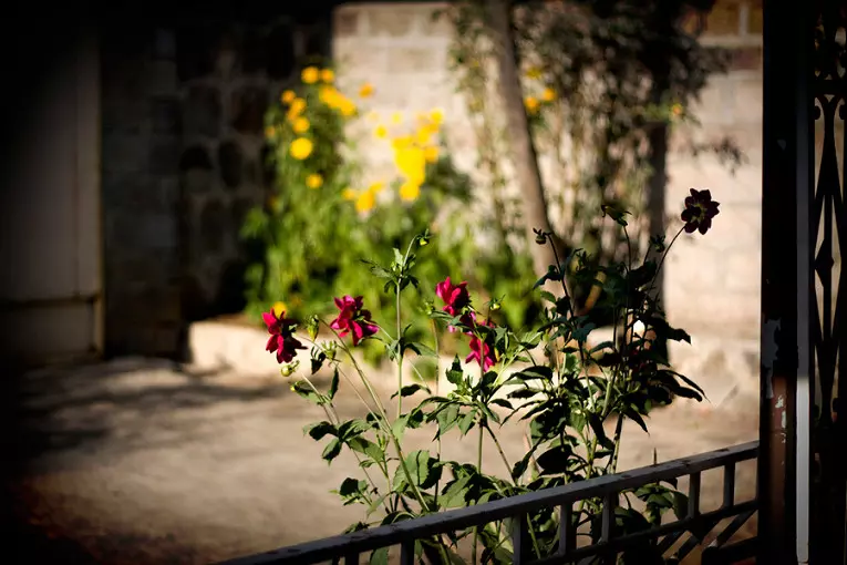 অ্যাডিস আবাবা, ইথিওপিয়া, আফ্রিকা