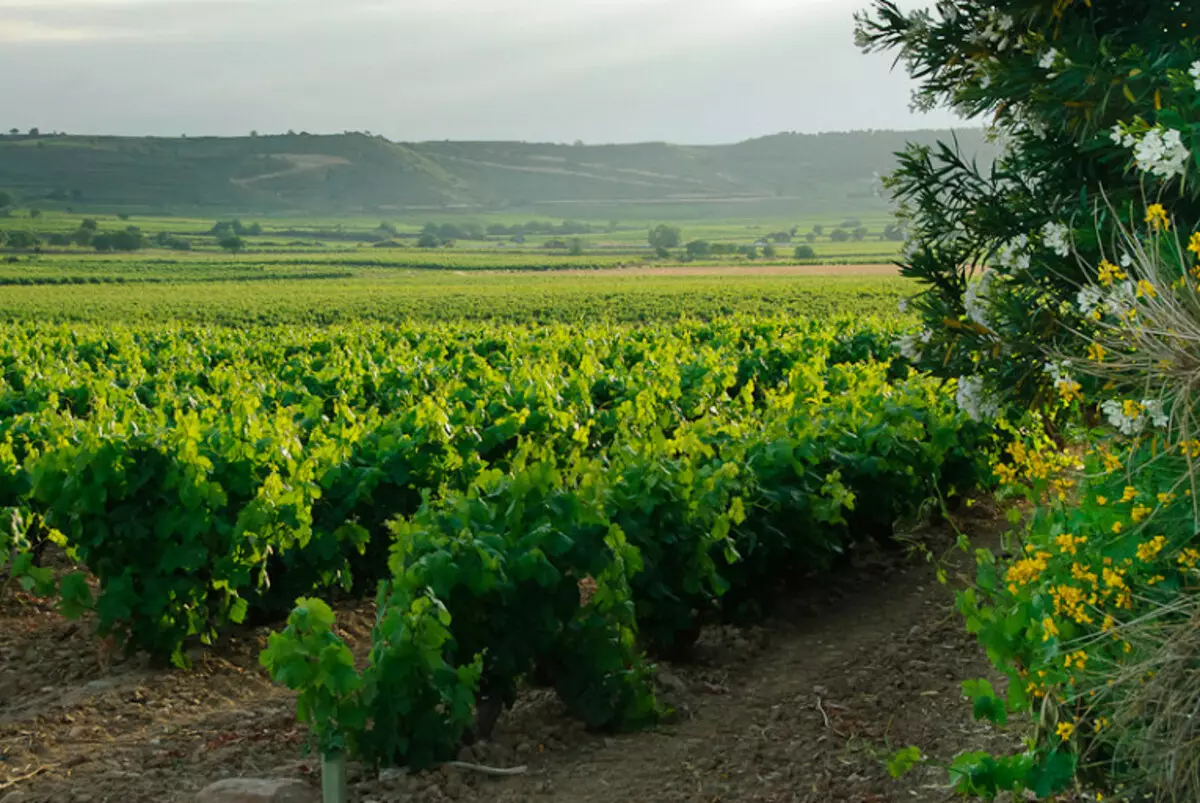 La Rioja je besplatni vodič za putnike. Izlet u la rioche sami 232923_1