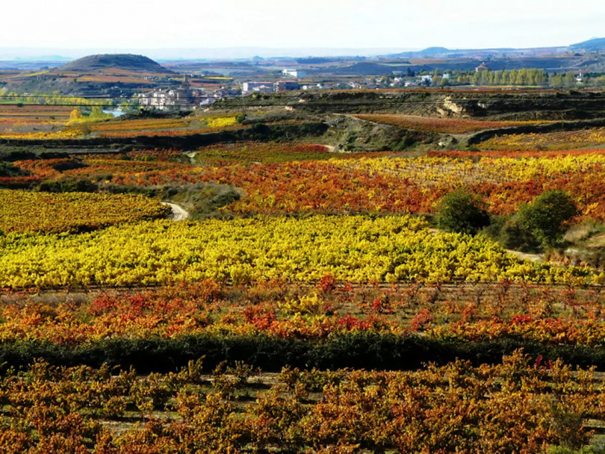 Το La Rioja είναι ένας δωρεάν οδηγός ταξιδιώτη. Ταξίδι στο La Rioche τον εαυτό σας 232923_8