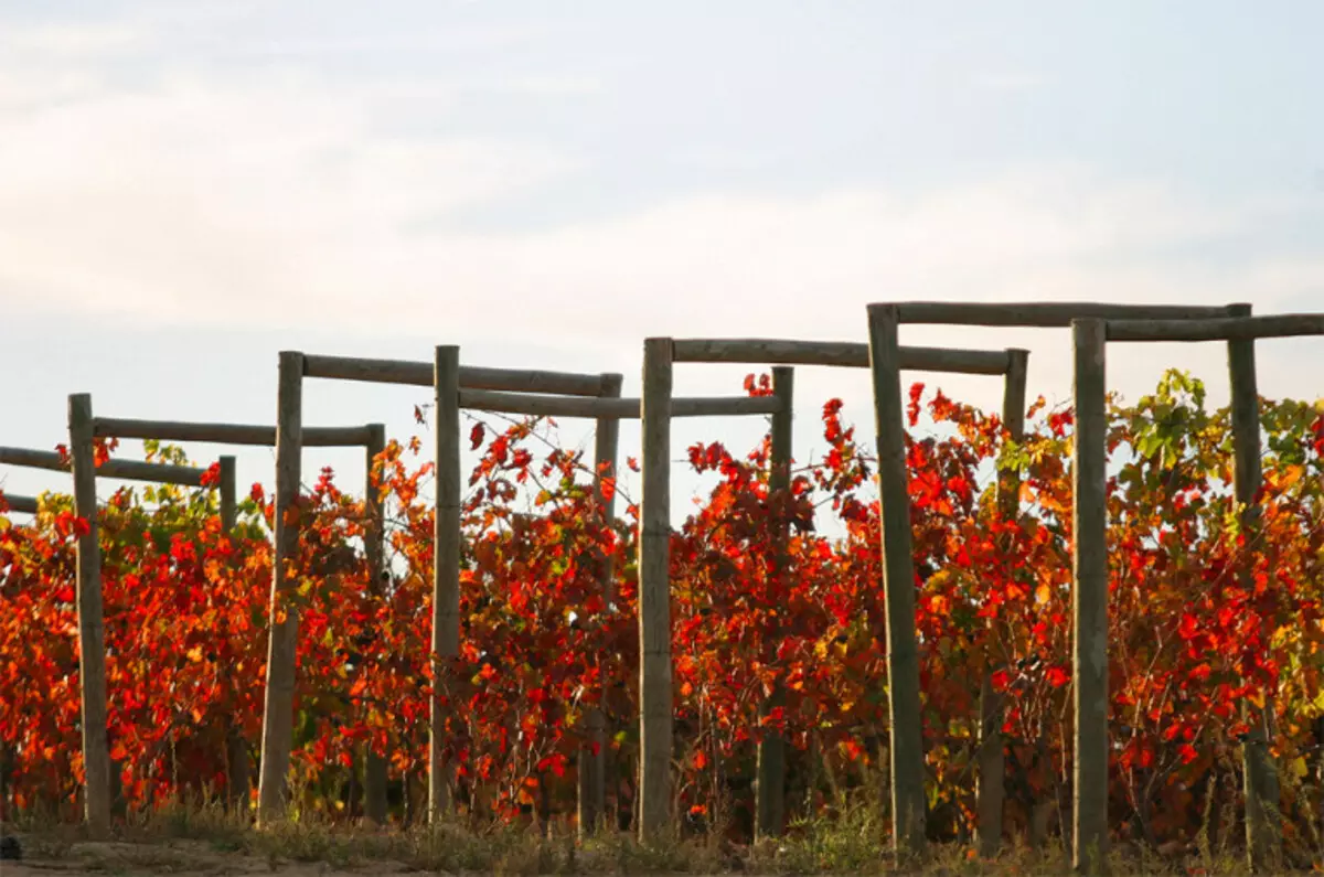 Το La Rioja είναι ένας δωρεάν οδηγός ταξιδιώτη. Ταξίδι στο La Rioche τον εαυτό σας 232923_9