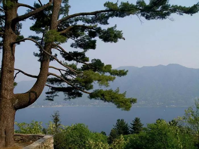 Pyhä vuoristo ja luonnonpuisto Giff, Verbania, Maggiore, Italia, Eurooppa