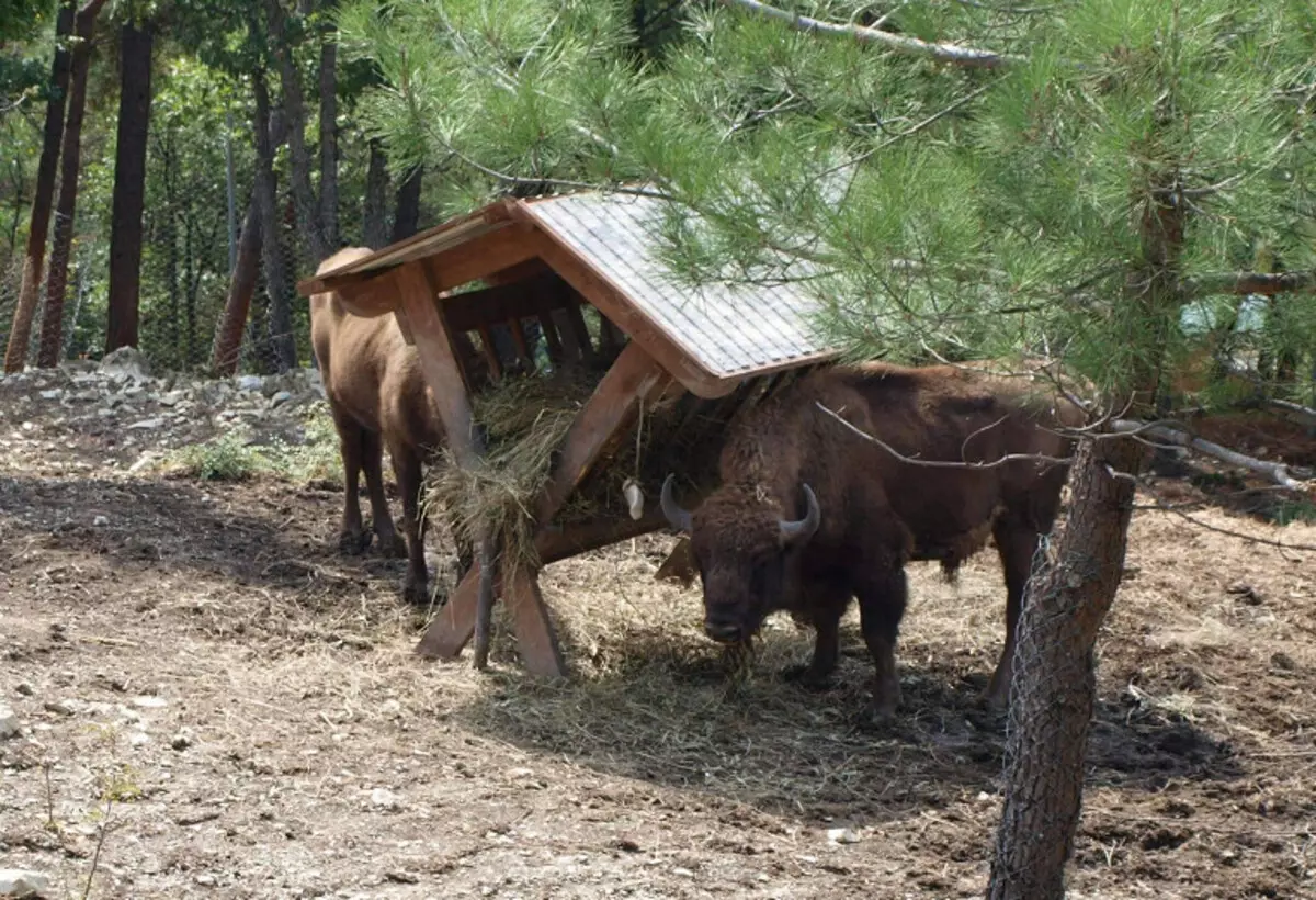 Prioksky Terrace Reserve, Serpukhov, ภูมิภาคมอสโก, รัสเซีย, ยุโรป