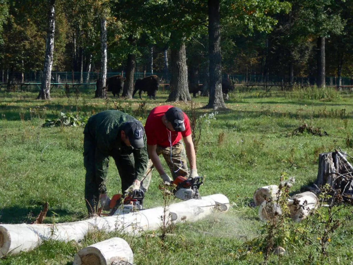 Prioksky Terasa Reserve, Serpukhov, Moskevský kraj, Rusko, Evropa