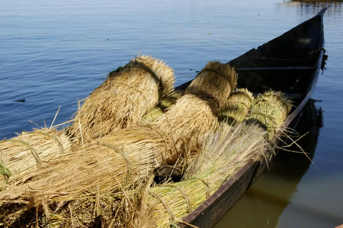 Mopti, Мали, Африка