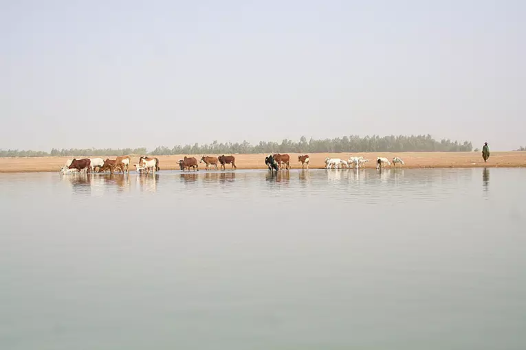 Mopti, mali, Afrika