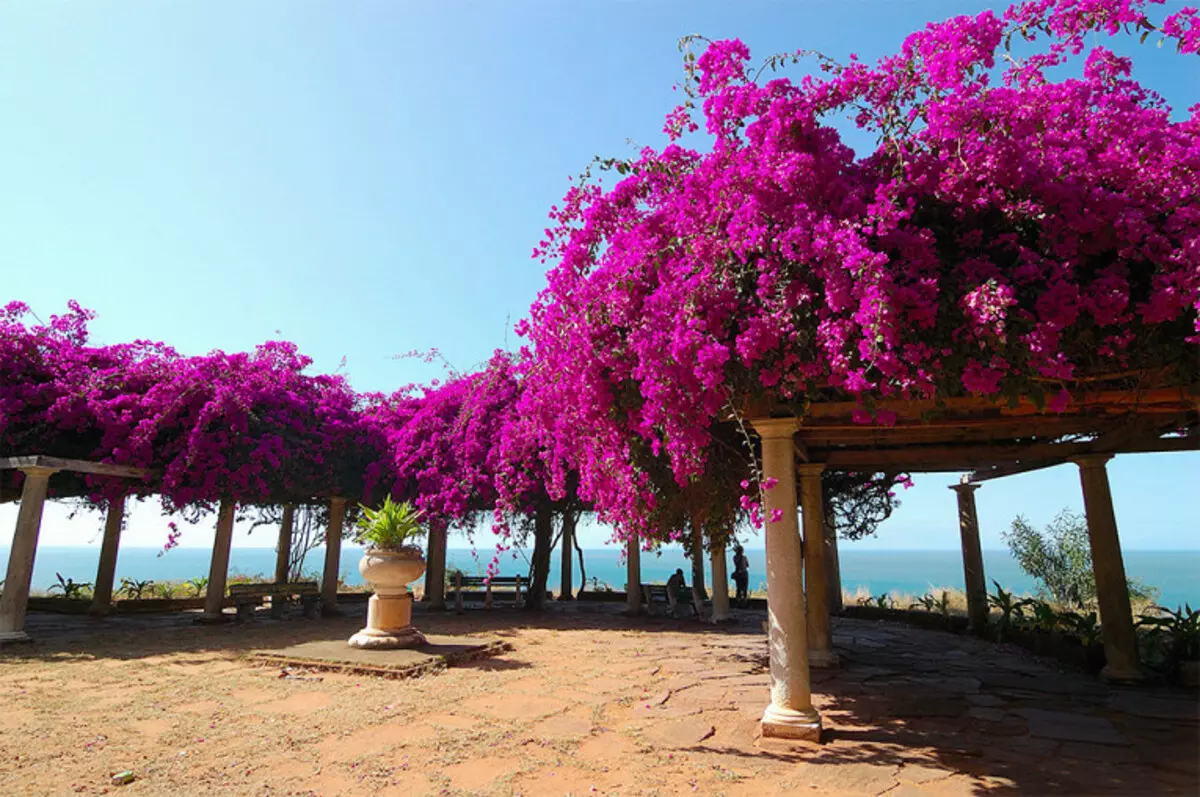 Mapasuto, Mozambique, Africa