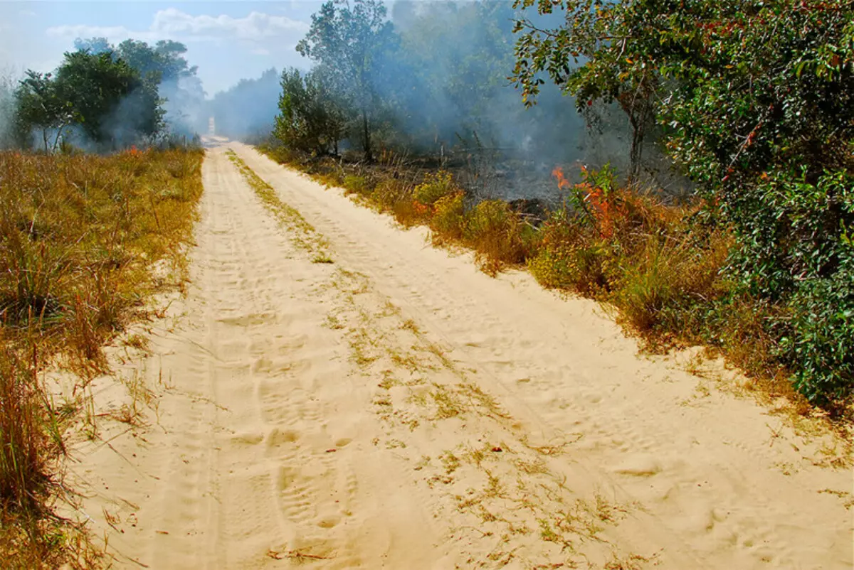 IMaputo, Mozambiki, i-Afrika