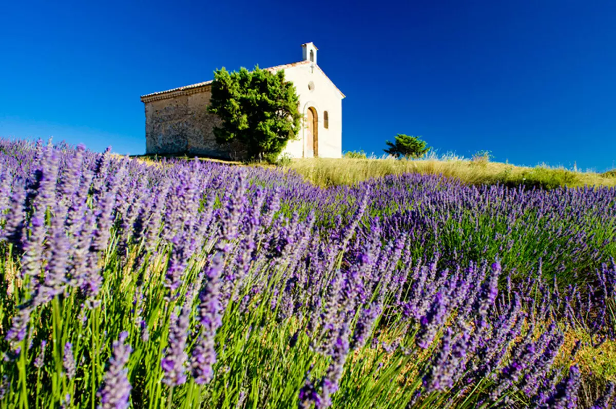 Provence, Franza, Ewropa