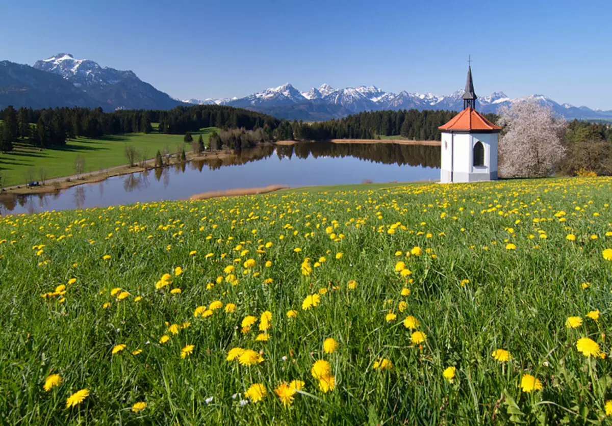 Austria, Yurub