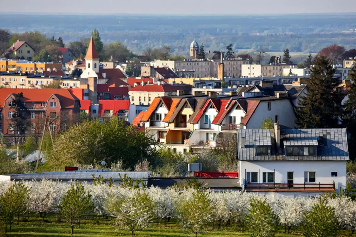 Poljska, Europa