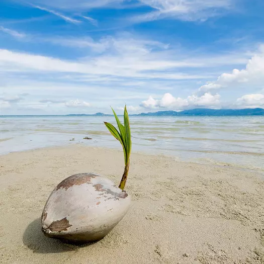 Samui, Thailand, Asia