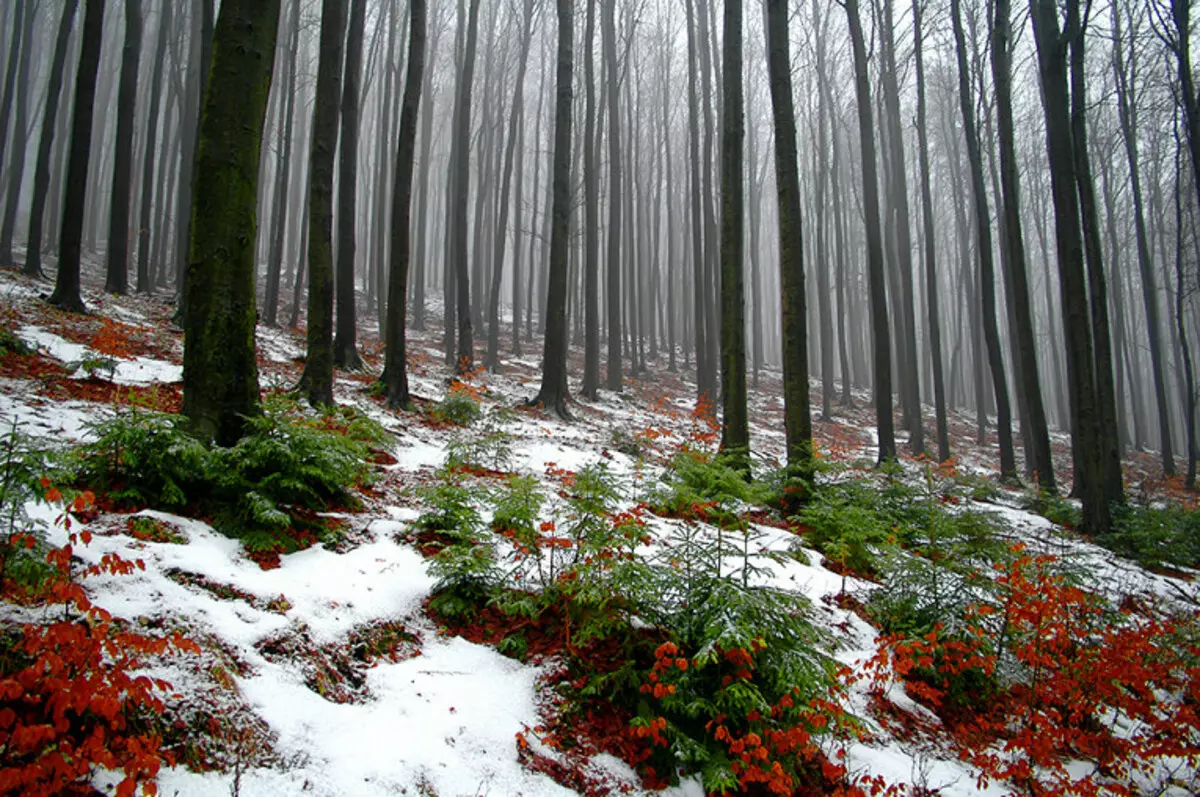 Madžarska, Evropa