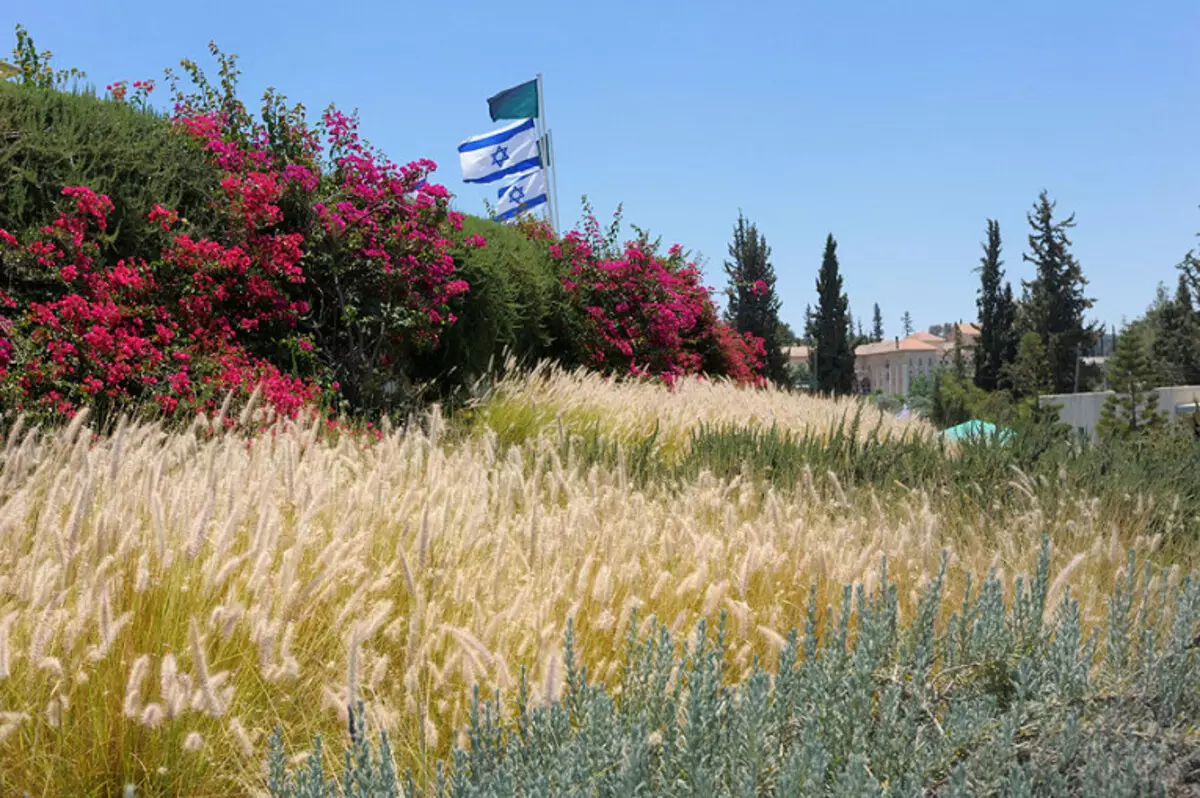 Israel, Oriente Medio