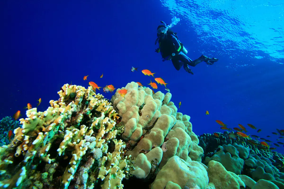 Fujairah, UAE, Lvant Nofsani