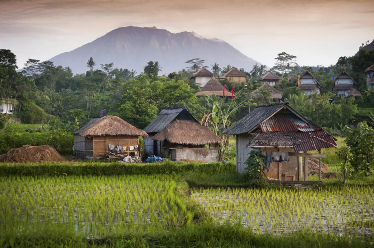 ឥណ្ឌូនេស៊ីនិងអាស៊ី