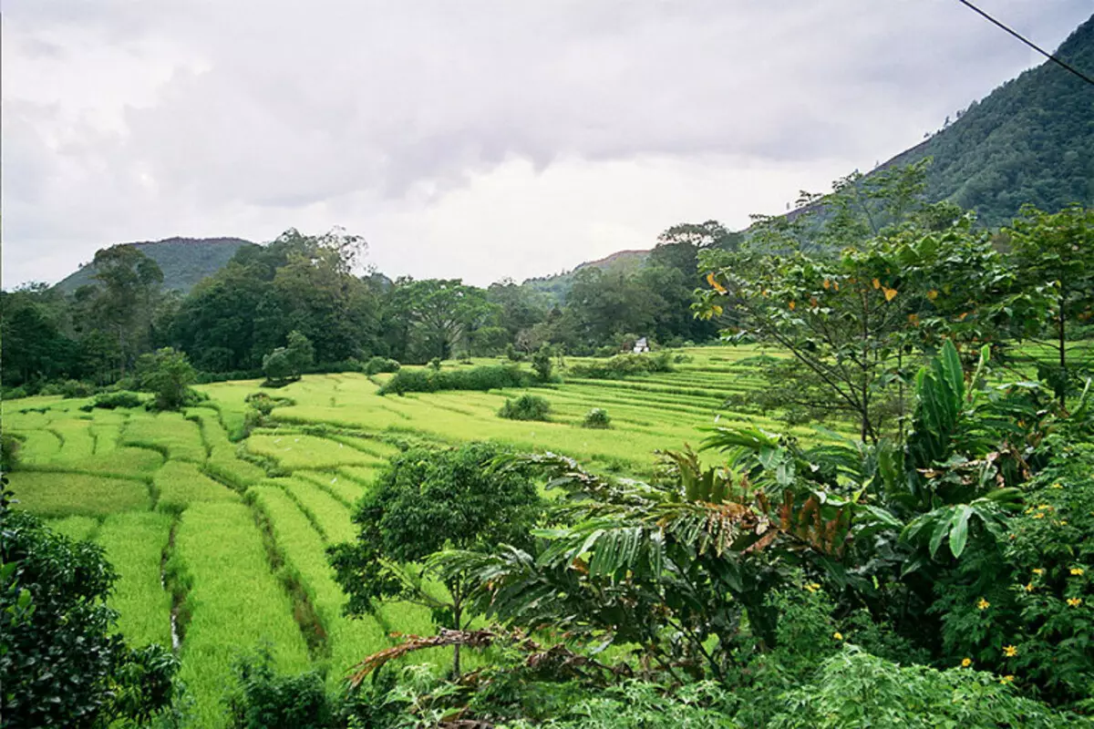 เกาะสุมาตรา, อินโดนีเซีย, เอเชีย