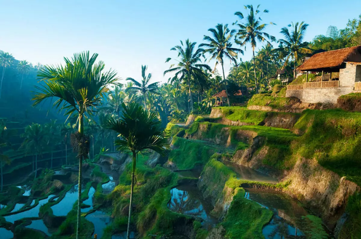 Ubud، بالی، انڈونیشیا، ایشیا