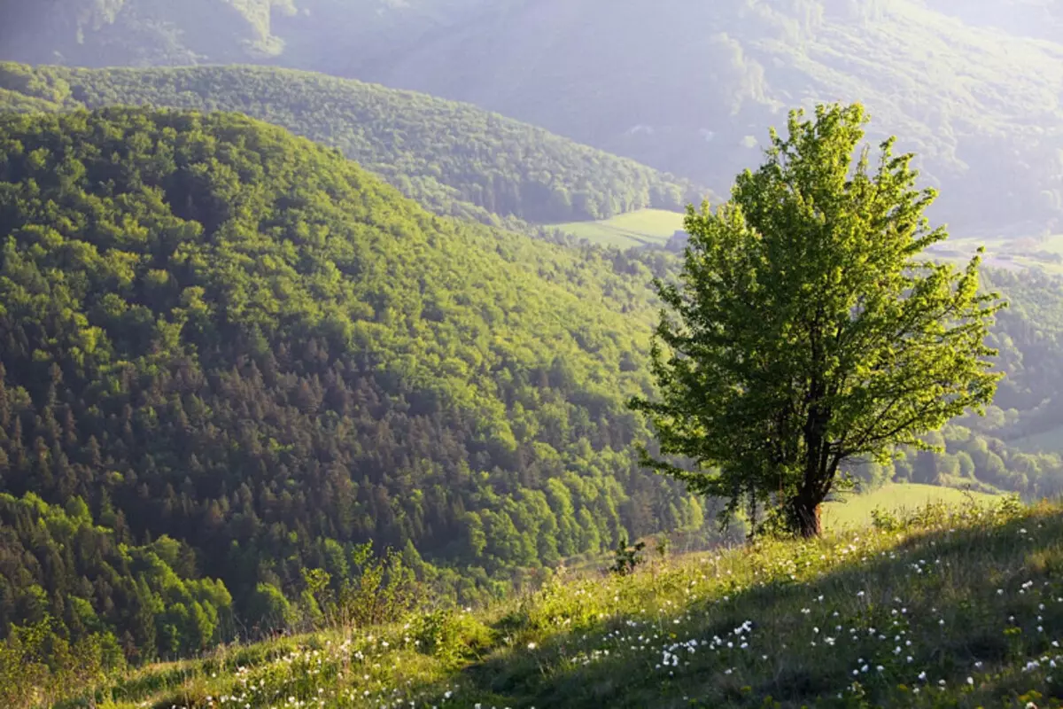 Slovakiet, Europa.