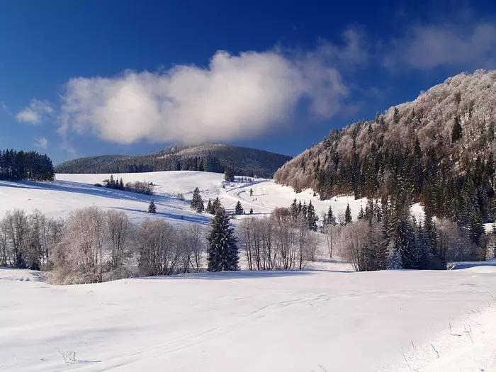 Slovačka, Evropa