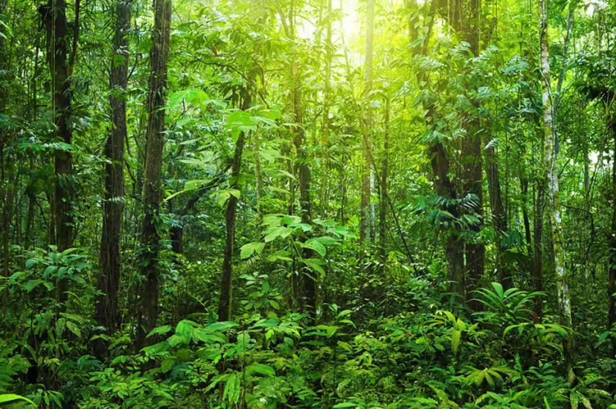 Borneo, Malajzia, Ázia