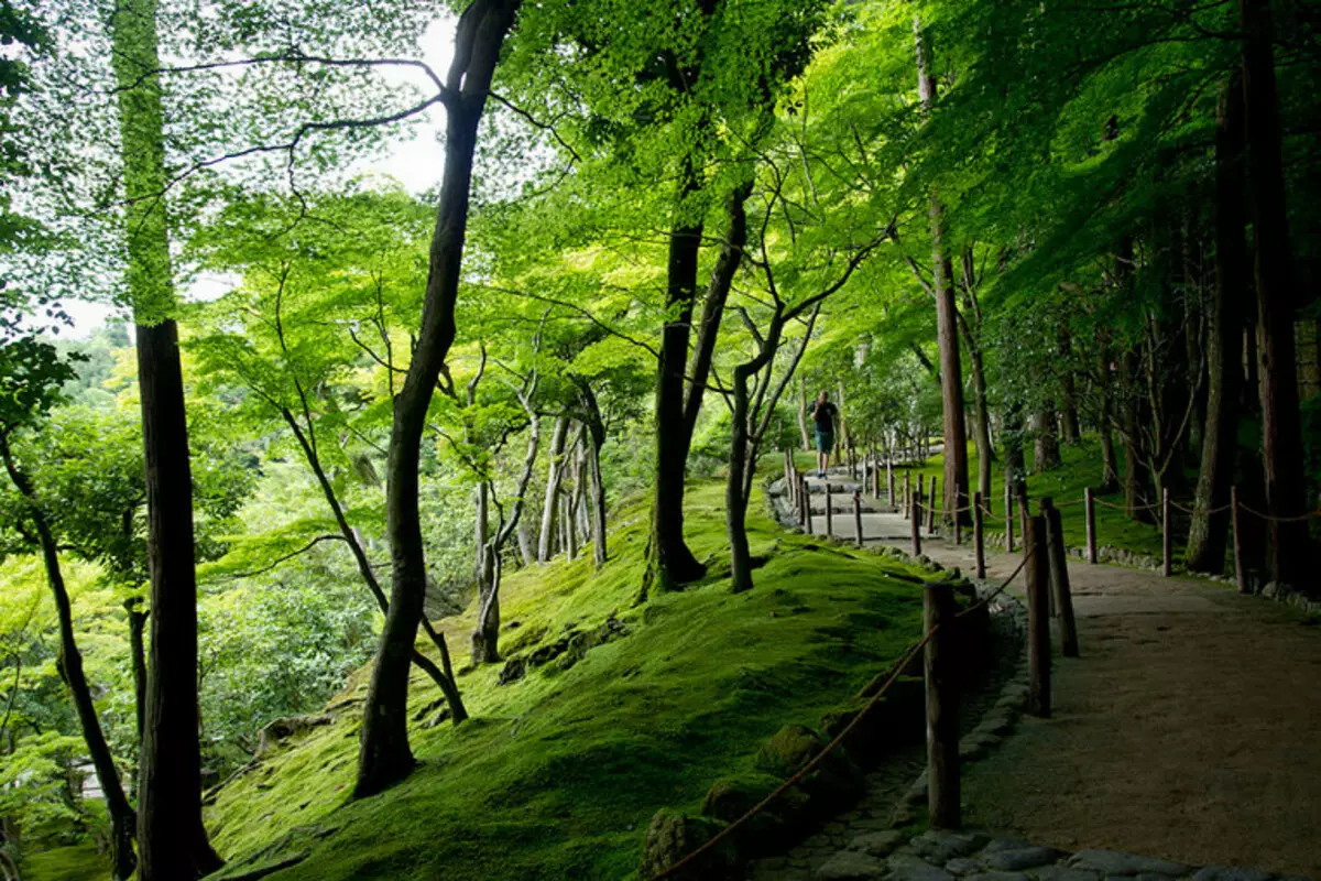 Kyoto, Japon, Azia