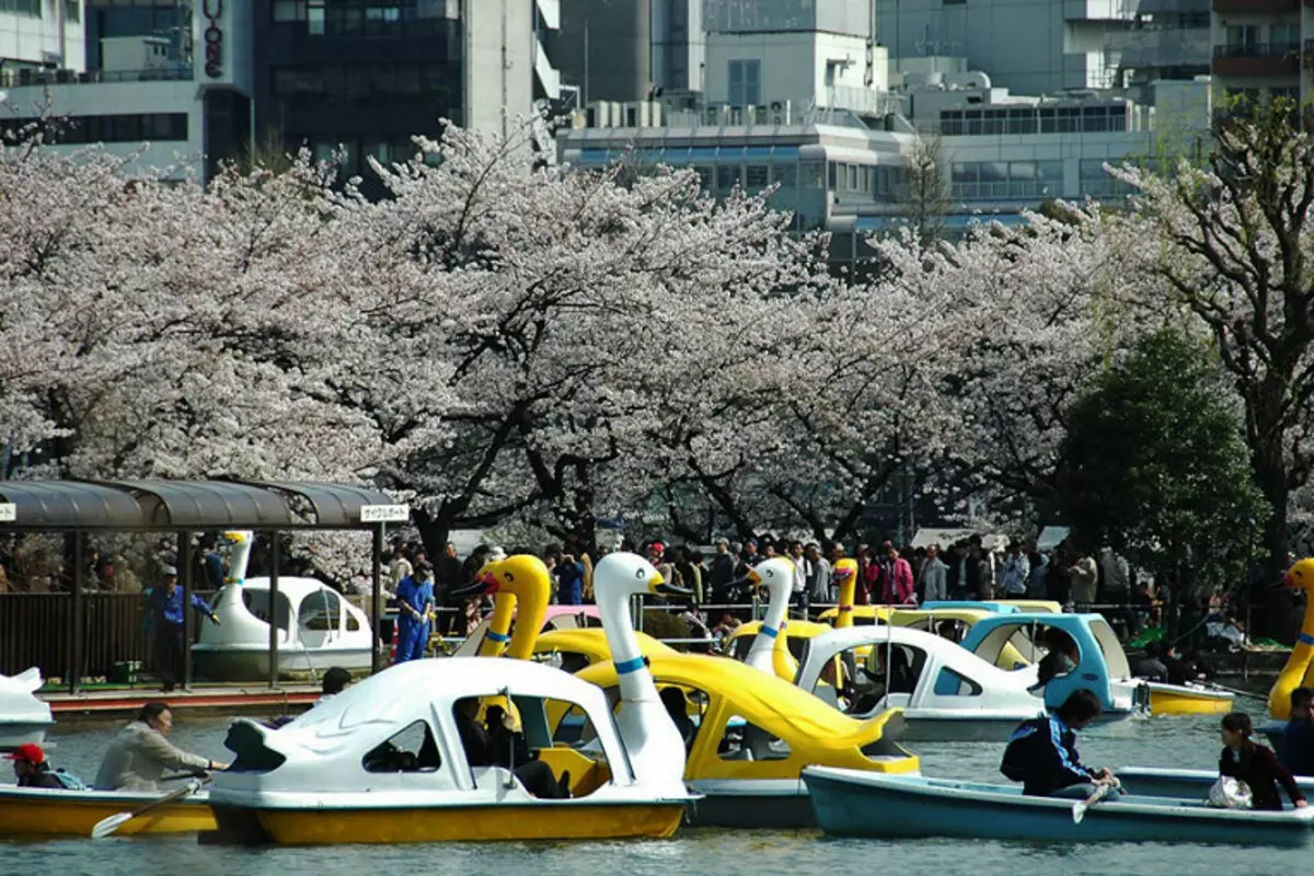 Tokio, Japoni, Azi