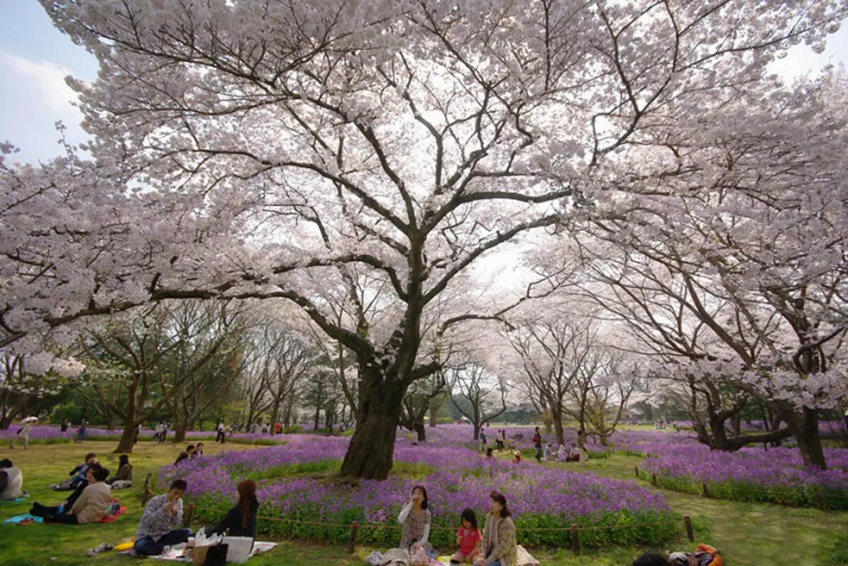 Tokyo, Japonia, Asia