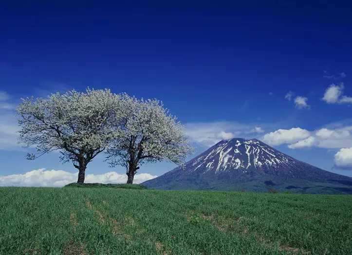 Japonia, Asia