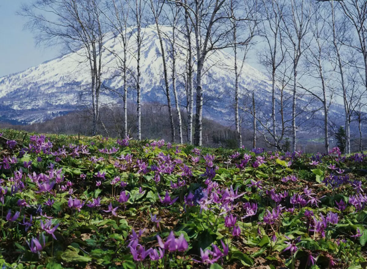 Japonia, Asia