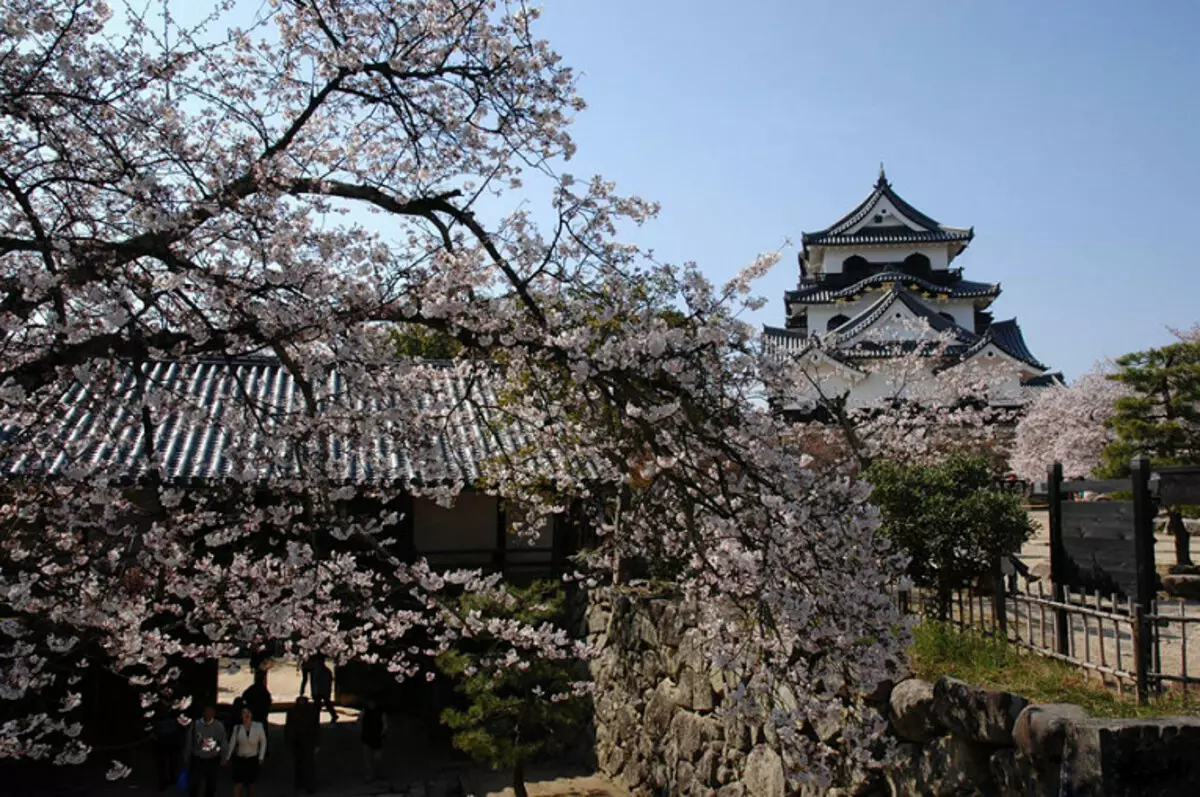 Japonia, Asia