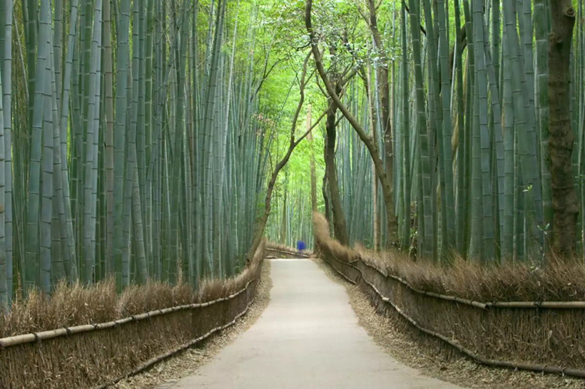 Kyoto, Japon, Azia